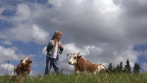 4K Child Admiring Cows Animals in Mounta... | Stock Video | Pond5
