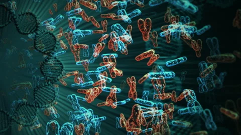 4K Chromosomes animation Loop Background | Stock Video | Pond5