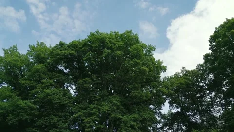 4K Cinematic nature footage of a drone r... | Stock Video | Pond5