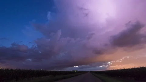 Lightning Bugs Stock Videos – Royalty-Free HD & 4K Videos | Pond5