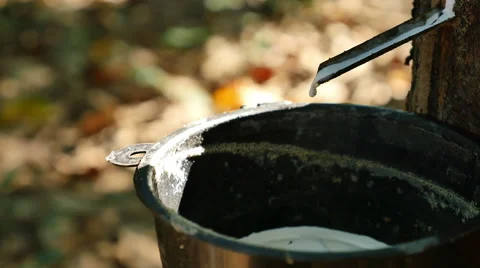 4K : Close-up of the rubber latex drop f... | Stock Video | Pond5