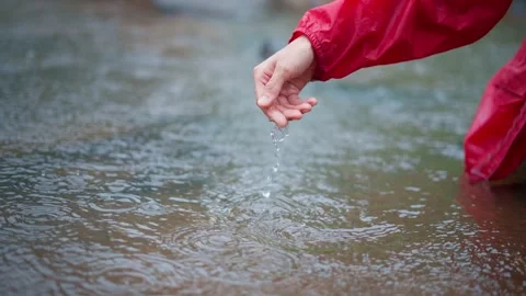 Girl Hol Stock Videos – Royalty-Free HD & 4K Videos