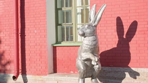 Hare Close Up Stock Videos – Royalty-Free HD & 4K Videos