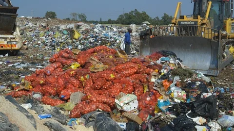 Bulldozer Stock Videos – Royalty-Free HD & 4K Videos