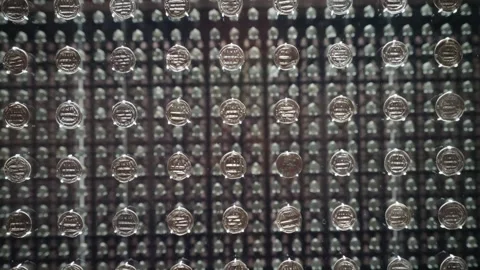 4k, Close-up view of showcase with many ... | Stock Video | Pond5