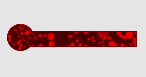 4K cool animated red colors shades lower... | Stock Video | Pond5