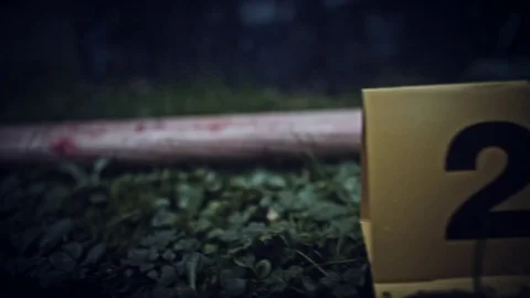 Number 5 Axe Stock Video Footage | Royalty Free Number 5 Axe Videos | Pond5