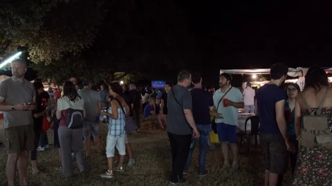 Outdoors Concert Crowd 4K Stock Video Footage | Royalty Free Outdoors ...