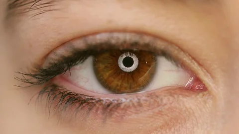 Kind Girls Video Stock Videos – Royalty-Free HD & 4K Videos