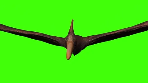 4k dinosaur fly entering and outing on g... | Stock Video | Pond5