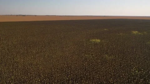 4k drone clip showing severe drought con... | Stock Video | Pond5