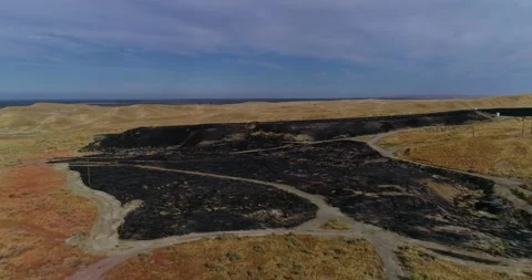 4k drone flyover with pan down of fresh ... | Stock Video | Pond5