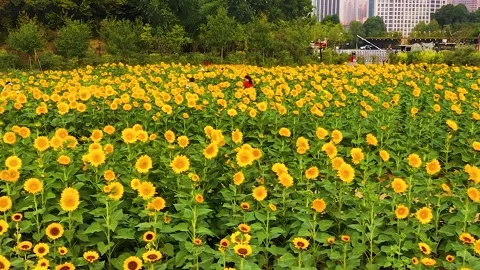 Vast6 Recording Stock Videos – Royalty-Free HD & 4K Videos | Pond5