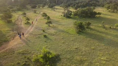 Videok Of Walking Stock Videos – Royalty-Free HD & 4K Videos | Pond5