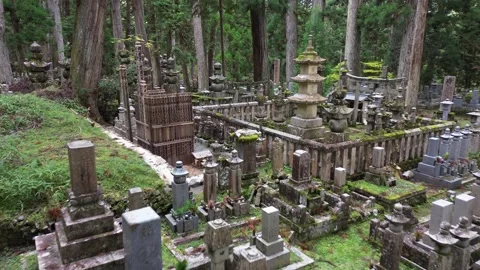 Soaring S Stock Videos – Royalty-Free HD & 4K Videos | Pond5