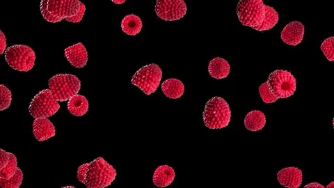 4K Exploding Flying of Raspberry in Blac... | Stock Video | Pond5