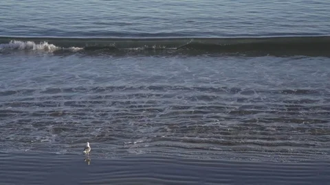 4K EXT DAY static ocean motion with a bi... | Stock Video | Pond5