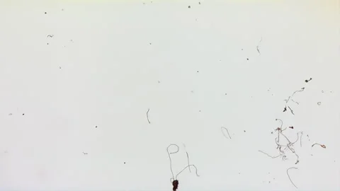 4K Film Texture Overlay with Hair, Scrat... | Stock Video | Pond5