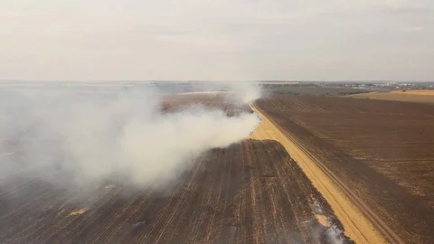 4k Fire In A Cornfield After The Harvest... | Stock Video | Pond5