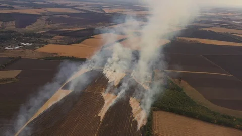 4k Fire In A Cornfield After The Harvest... | Stock Video | Pond5