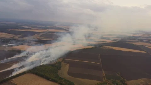 4k Fire In A Cornfield After The Harvest... | Stock Video | Pond5