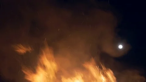 4K Fire. Moon on background. Wildfire in... | Stock Video | Pond5