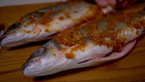 Man F*** Animal Stock Videos – Royalty-Free HD & 4K Videos | Page 3