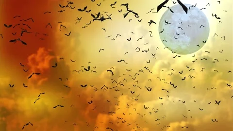 4K Flock of bats flying on green screen ... | Stock Video | Pond5