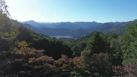 4K Fly Over Forest going to Kumano Hongu... | Stock Video | Pond5