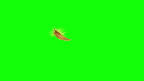 4K. Flying Golden Feather. Green Screen.... | Stock Video | Pond5