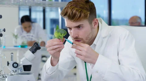 4K Food science researchers in lab, 1 ma... | Stock Video | Pond5