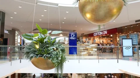 Southland C Stock Videos – Royalty-Free HD & 4K Videos