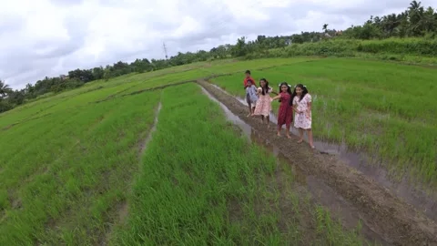 A 4K FPV drone shot showing Sri Lankan v... | Stock Video | Pond5