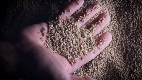 4k Grains Background, Man Hand Taking Wh... | Stock Video | Pond5