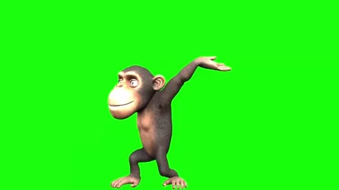 Monkey Green Screen Stock Footage ~ Royalty Free Stock Videos | Pond5