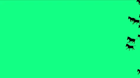 Africa Animals Silhouette Stock Videos – Royalty-Free HD & 4K Videos