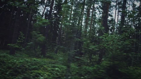 4K Halloween Horror Man Running In Fores... | Stock Video | Pond5