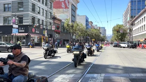 Video Of Annuals Stock Videos – Royalty-Free HD & 4K Videos | Pond5