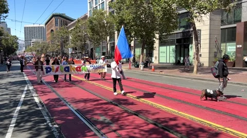 Video Of Annuals Stock Videos – Royalty-Free HD & 4K Videos | Pond5