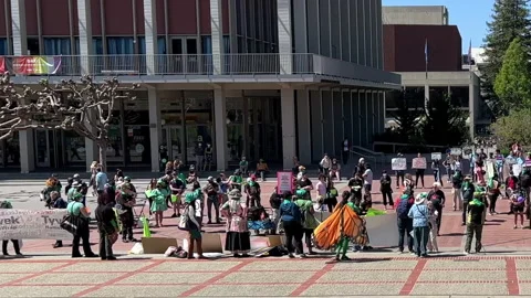 Womens H*********** Video Stock Videos – Royalty-Free HD & 4K Videos