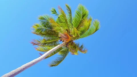 Hdri Background Stock Videos – Royalty-Free HD & 4K Videos