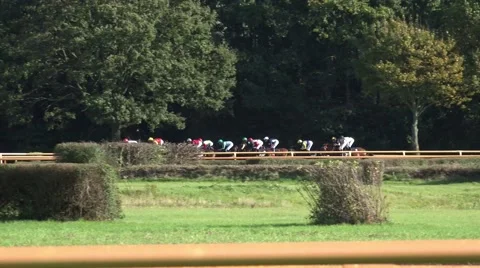 4k Horse Racing final race tracking shot... | Stock Video | Pond5