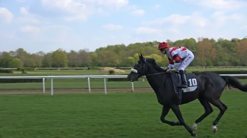 4k Horse racing jockey enters race track... | Stock Video | Pond5