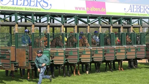 4k Horse racing start from starting boxe... | Stock Video | Pond5