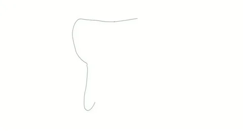 4K Human Tooth Structure 02 | Stock Video | Pond5