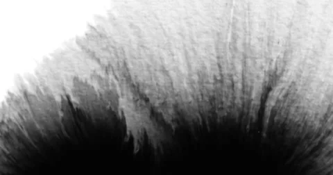 Ink Splatter Stock Footage ~ Royalty Free Stock Videos | Pond5