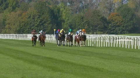 4K Jockey on Horse Race Racing Derby Gal... | Stock Video | Pond5