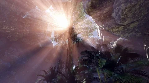 4k Jungle and rocks inside cave scene sl... | Stock Video | Pond5