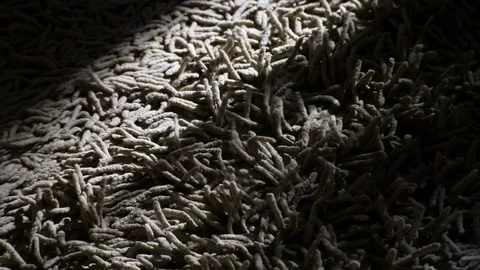 4k Long Pile Carpet Texture Close Up | Stock Video | Pond5