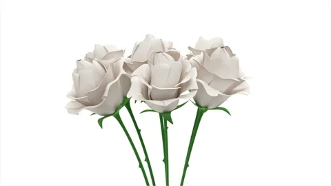 4K Loop Animation of Group White Roses R... | Stock Video | Pond5
